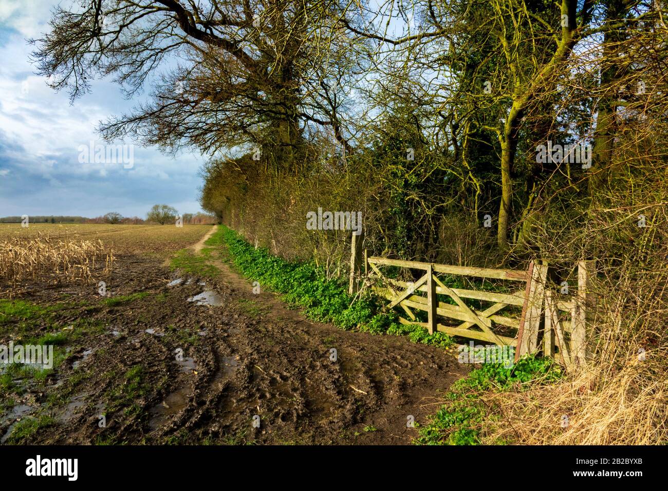 Farm field gate hi-res stock photography and images - Alamy
