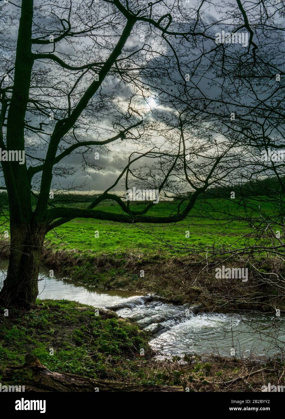 stream field edge Stock Photo - Alamy