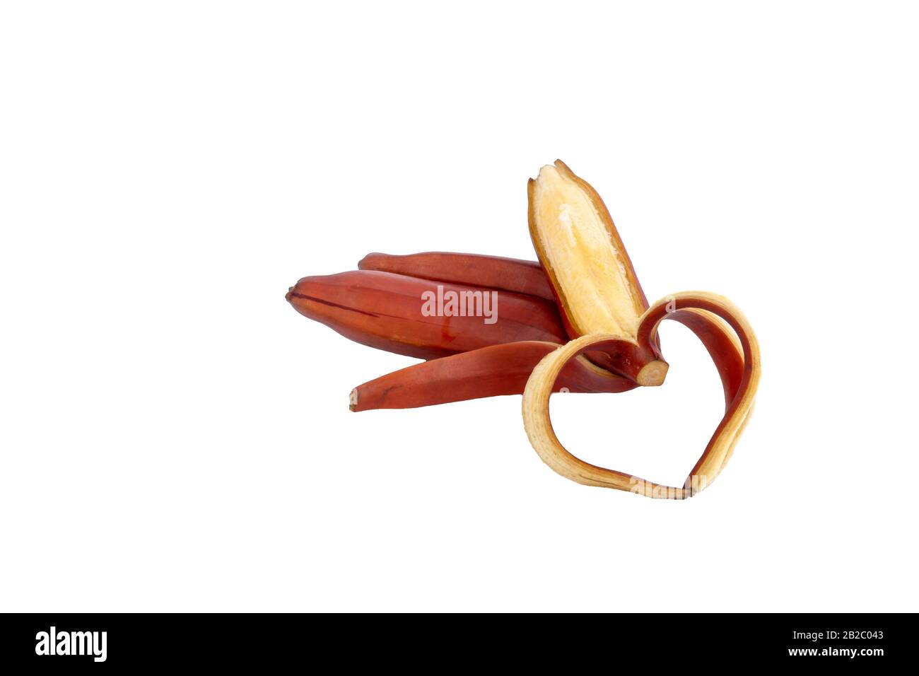 fresh red banana isolated on white background. group of varieties of ...