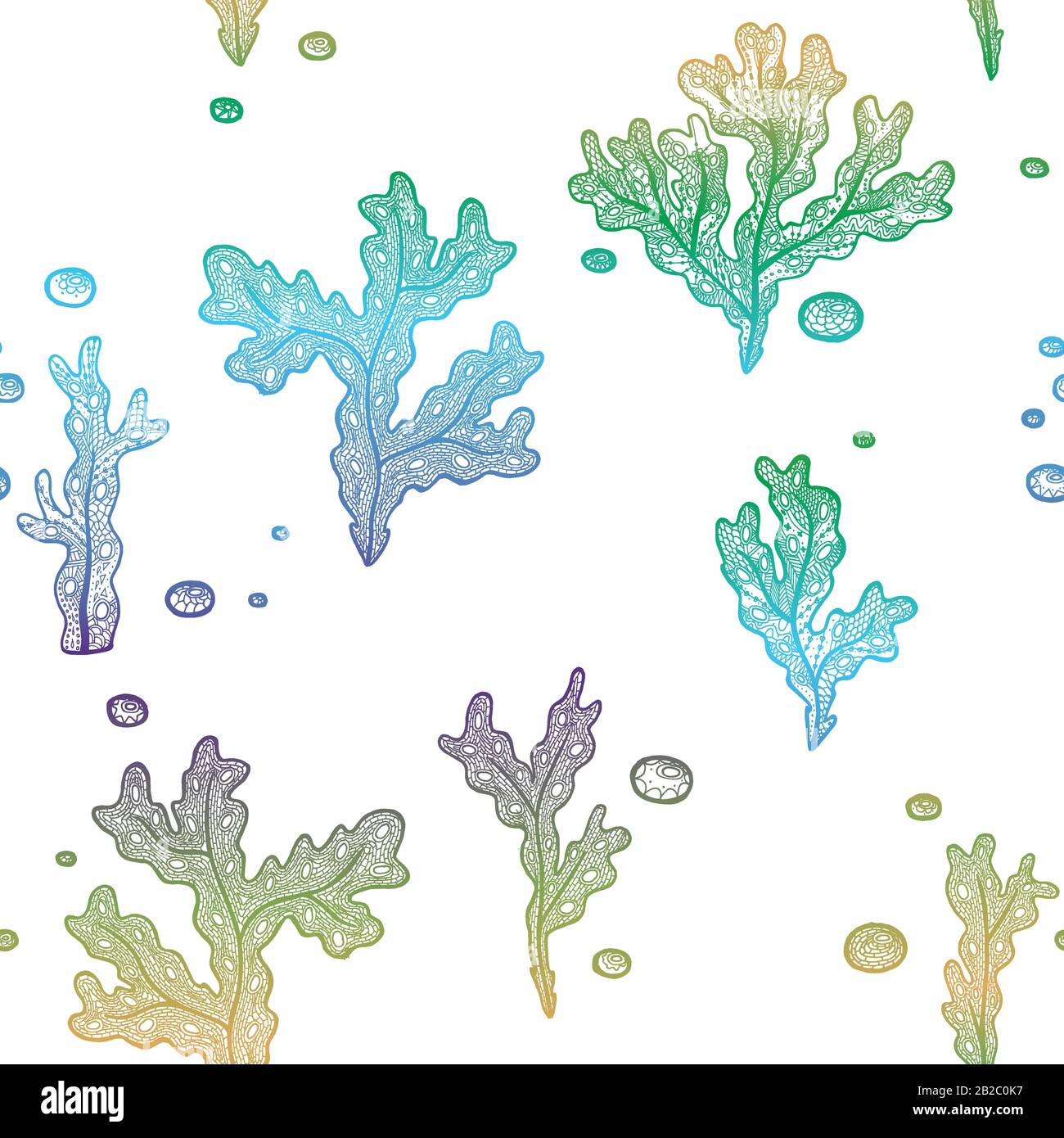 Vector illustration with hand drawn gradient algae on white background ...