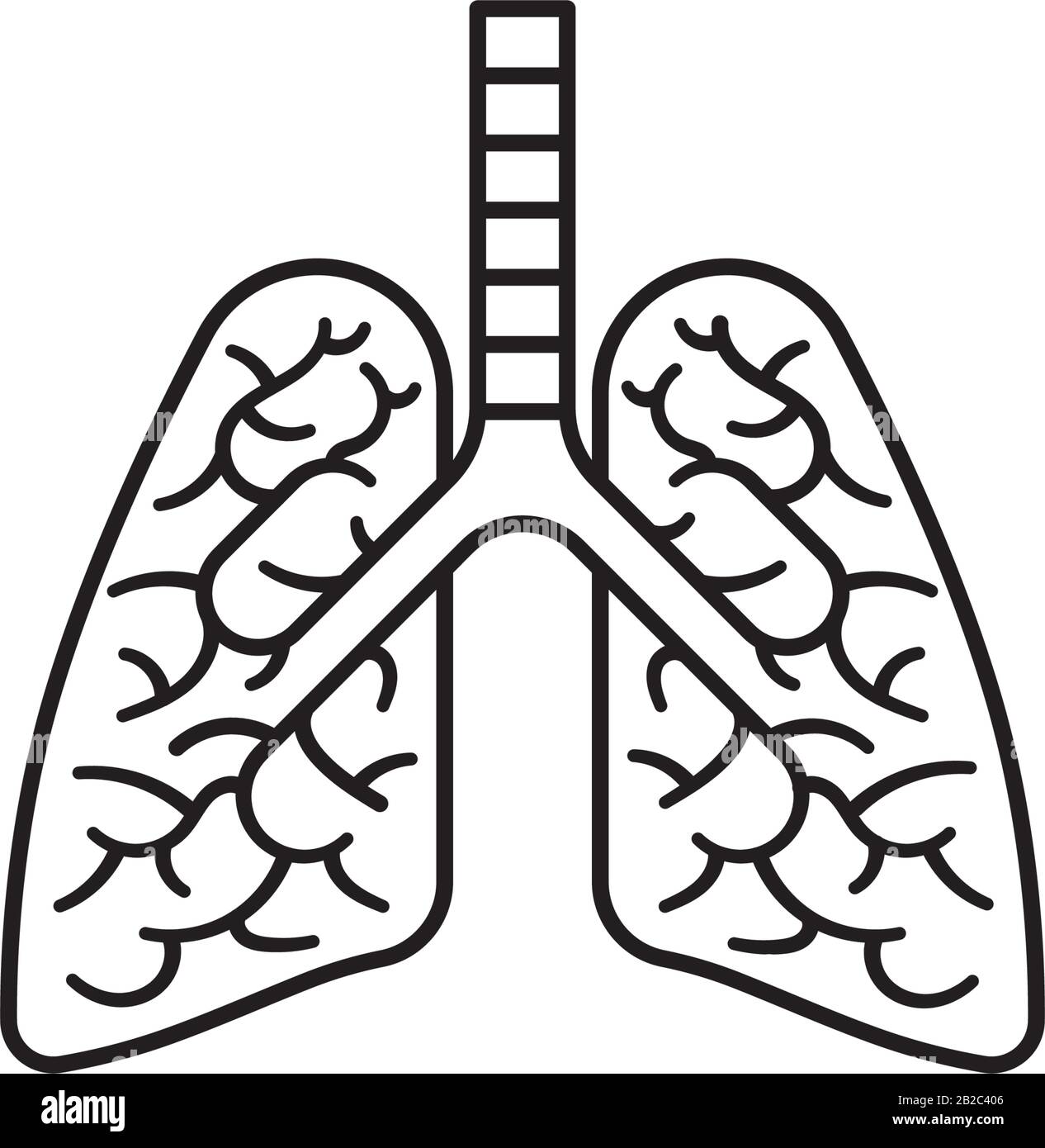 Lungs Outline High Resolution Stock Photography and Images - Alamy