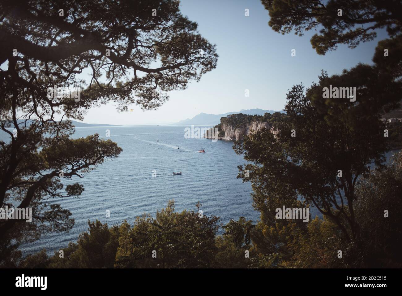 Coastal view through trees hi-res stock photography and images - Alamy