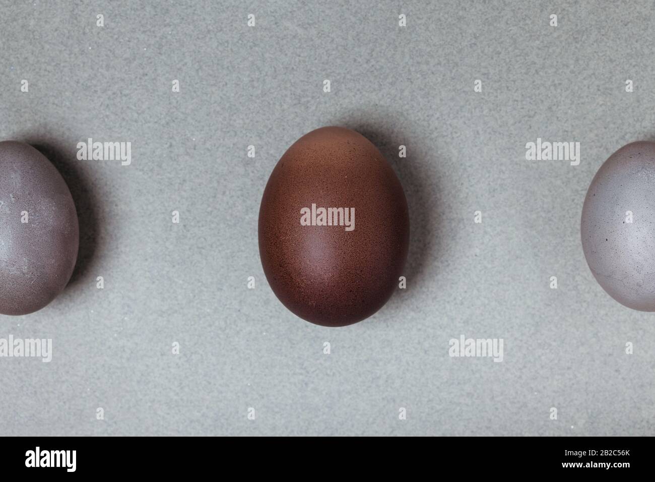 Large brown egg between small gray. Easter minimalistic concept ...