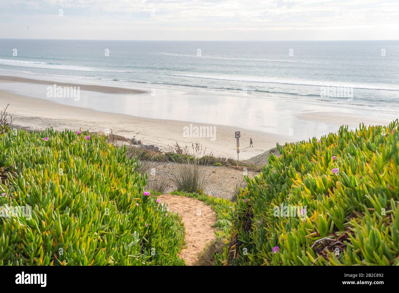 View of Torrey Pines State Beach on a winter afternoon. La Jolla, CA ...