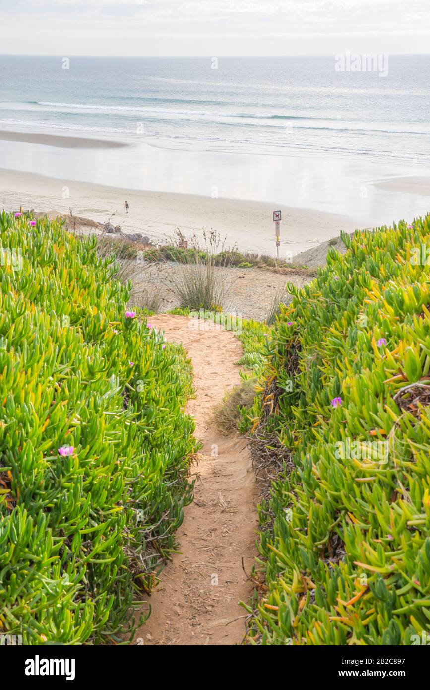 View of Torrey Pines State Beach on a winter afternoon. La Jolla, CA ...