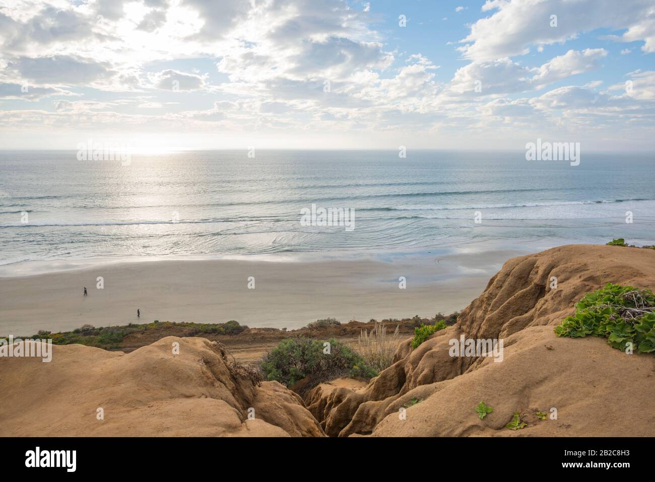 Torrey pines state beach hi-res stock photography and images - Alamy