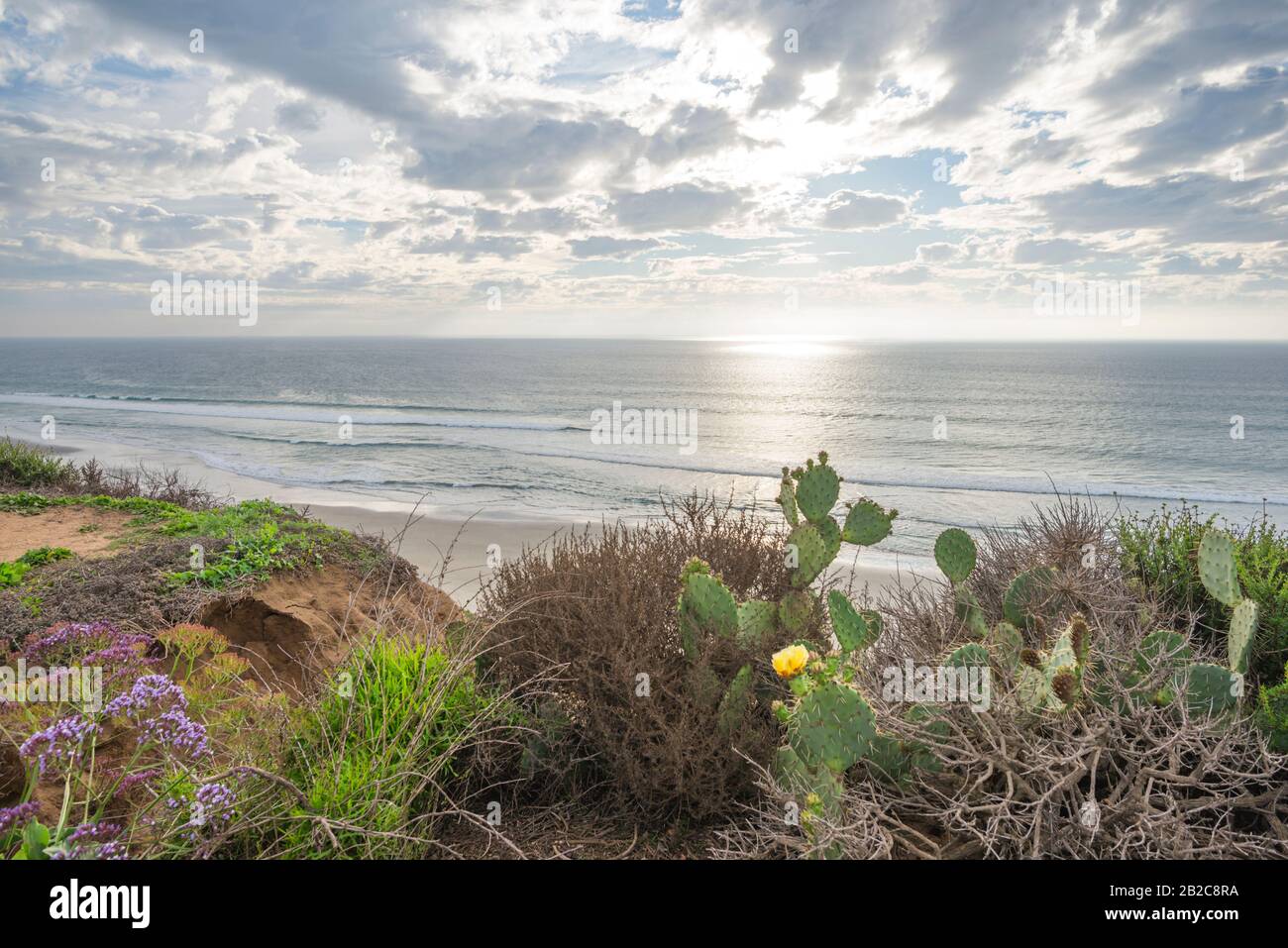 View of Torrey Pines State Beach on a winter afternoon. La Jolla, CA ...