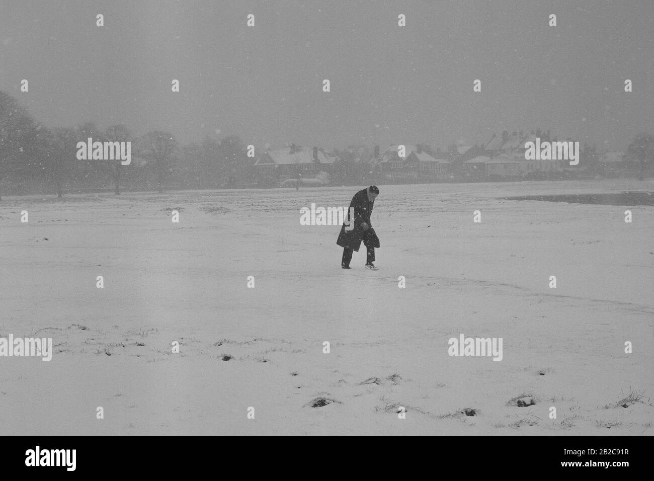 Strong snow filled wind when walking across wimbledon common hi-res ...
