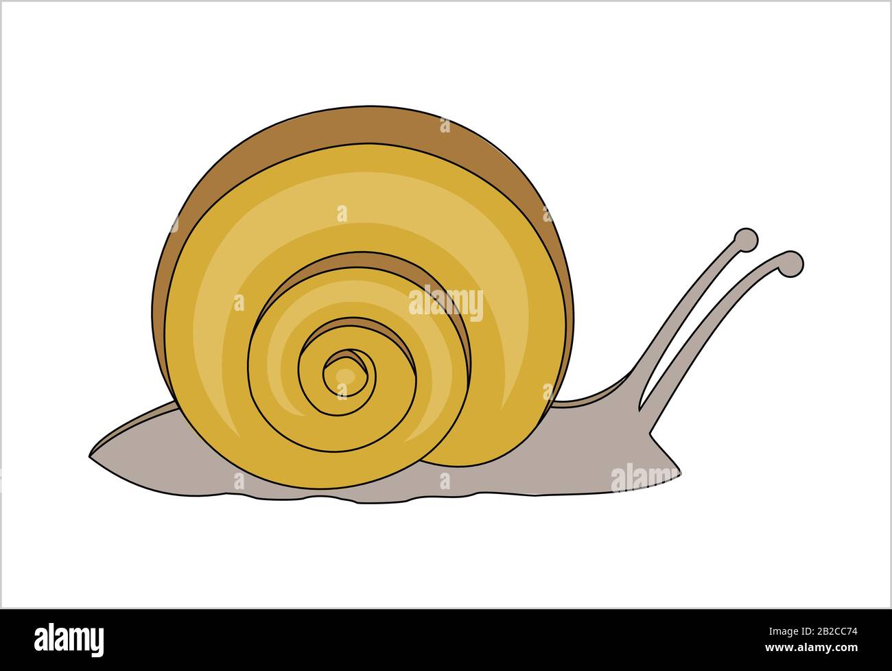 Slow Snail Clipart