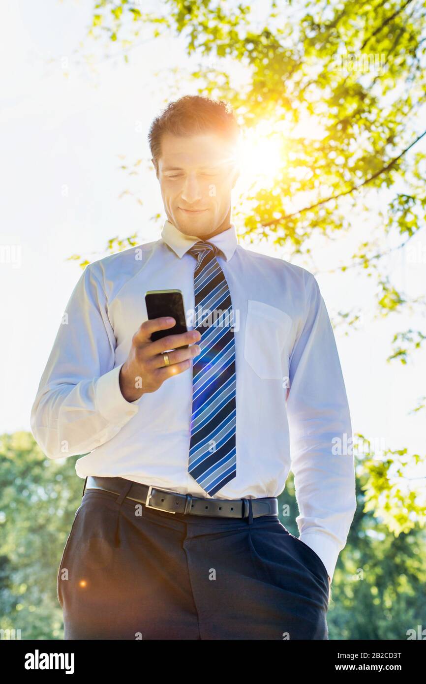 Low angle view of handsome mature businessman using smartphone Stock ...