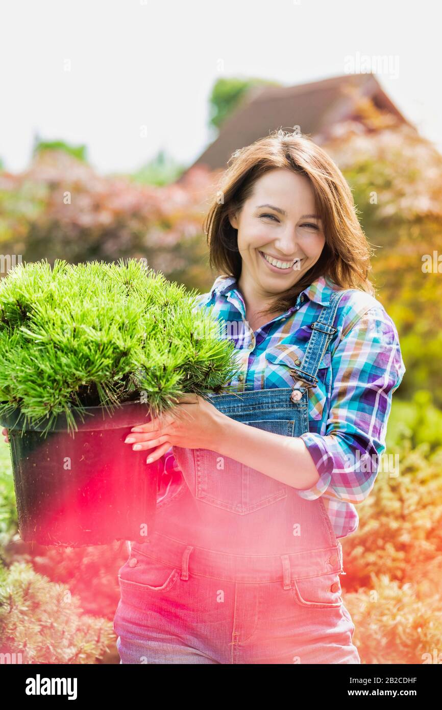 Woman carrying pot greenhouse hi-res stock photography and images - Alamy