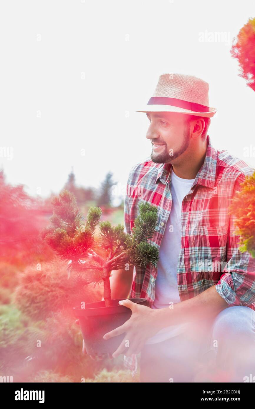 Portrait of handsome gardener wearing hat while holding flower pot in ...