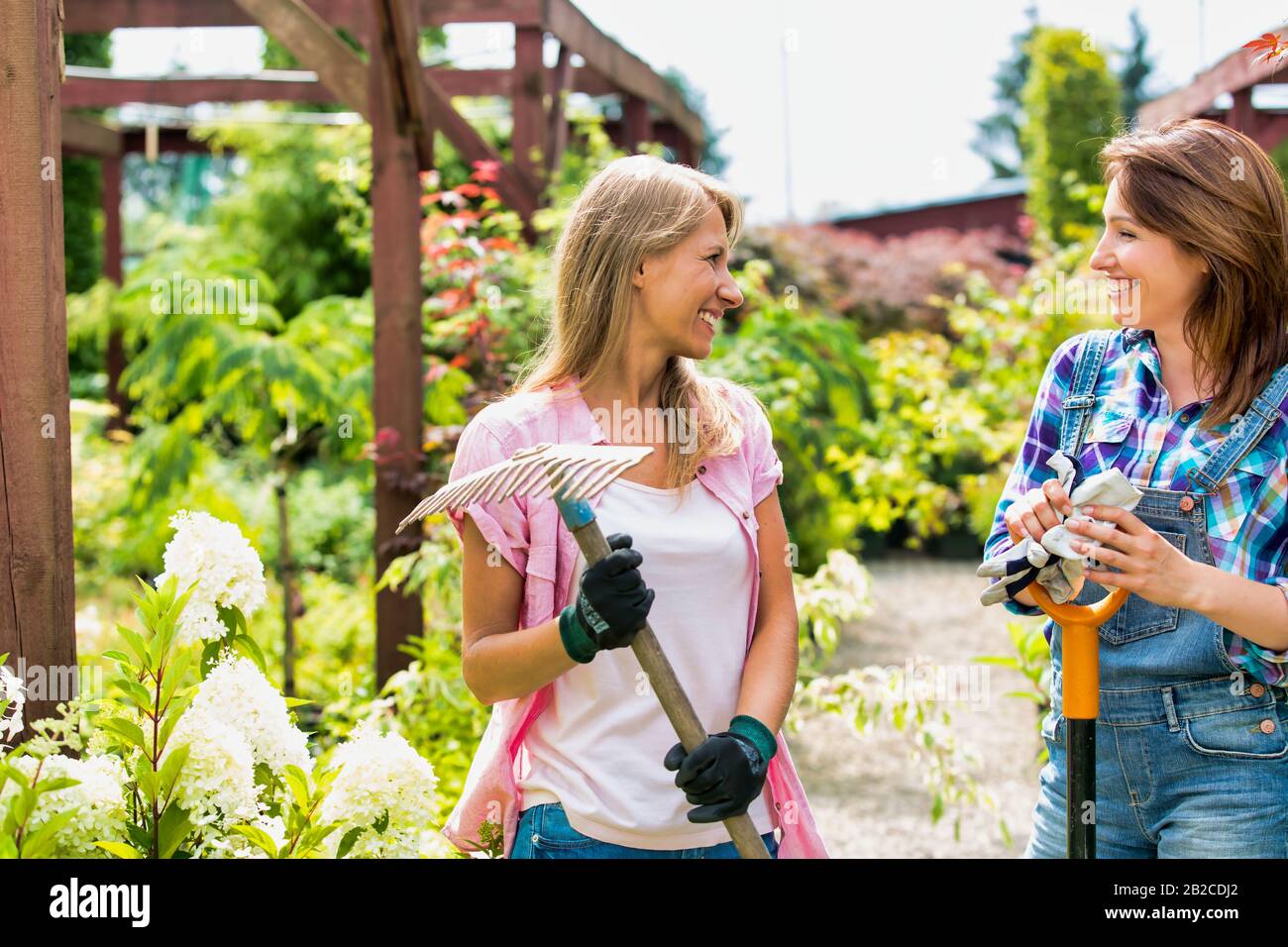 Portrait of beautiful gardeners walking while talking Stock Photo - Alamy
