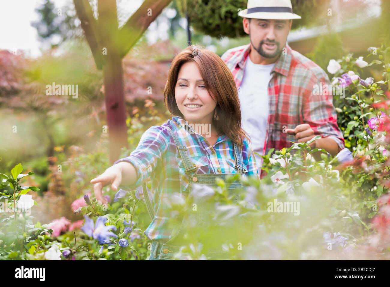 Portrait of beautiful gardener pointing on flowers with co worker Stock ...