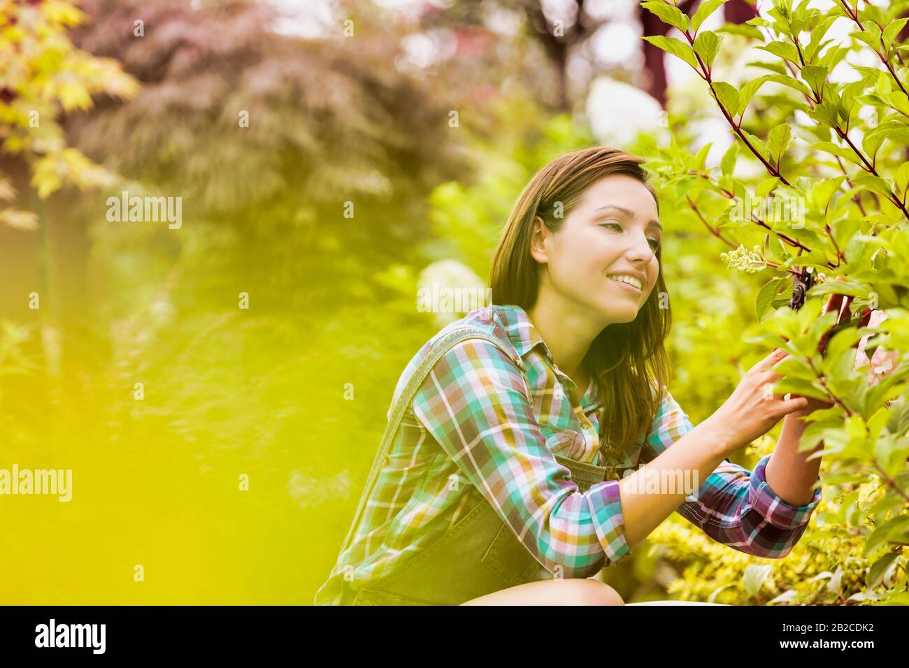 Beautiful gardener hi-res stock photography and images - Alamy