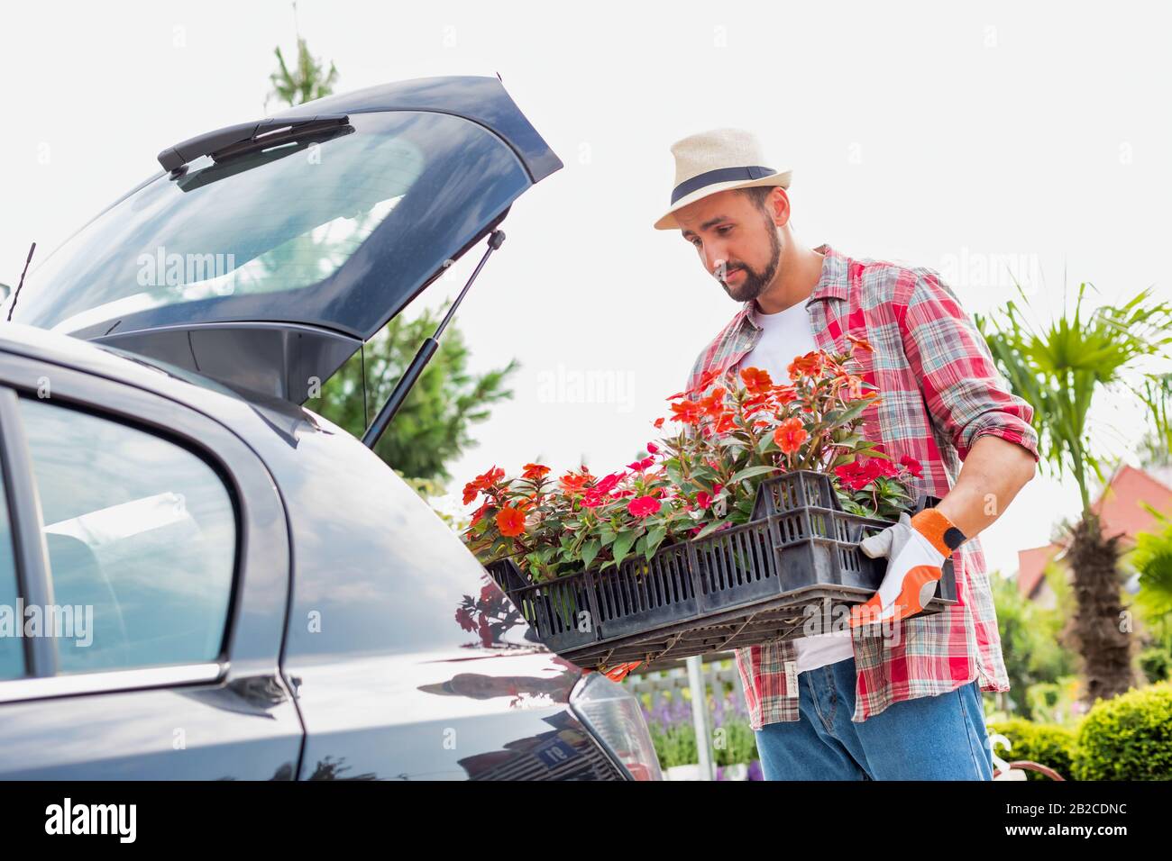 Putting flowers hi-res stock photography and images - Alamy