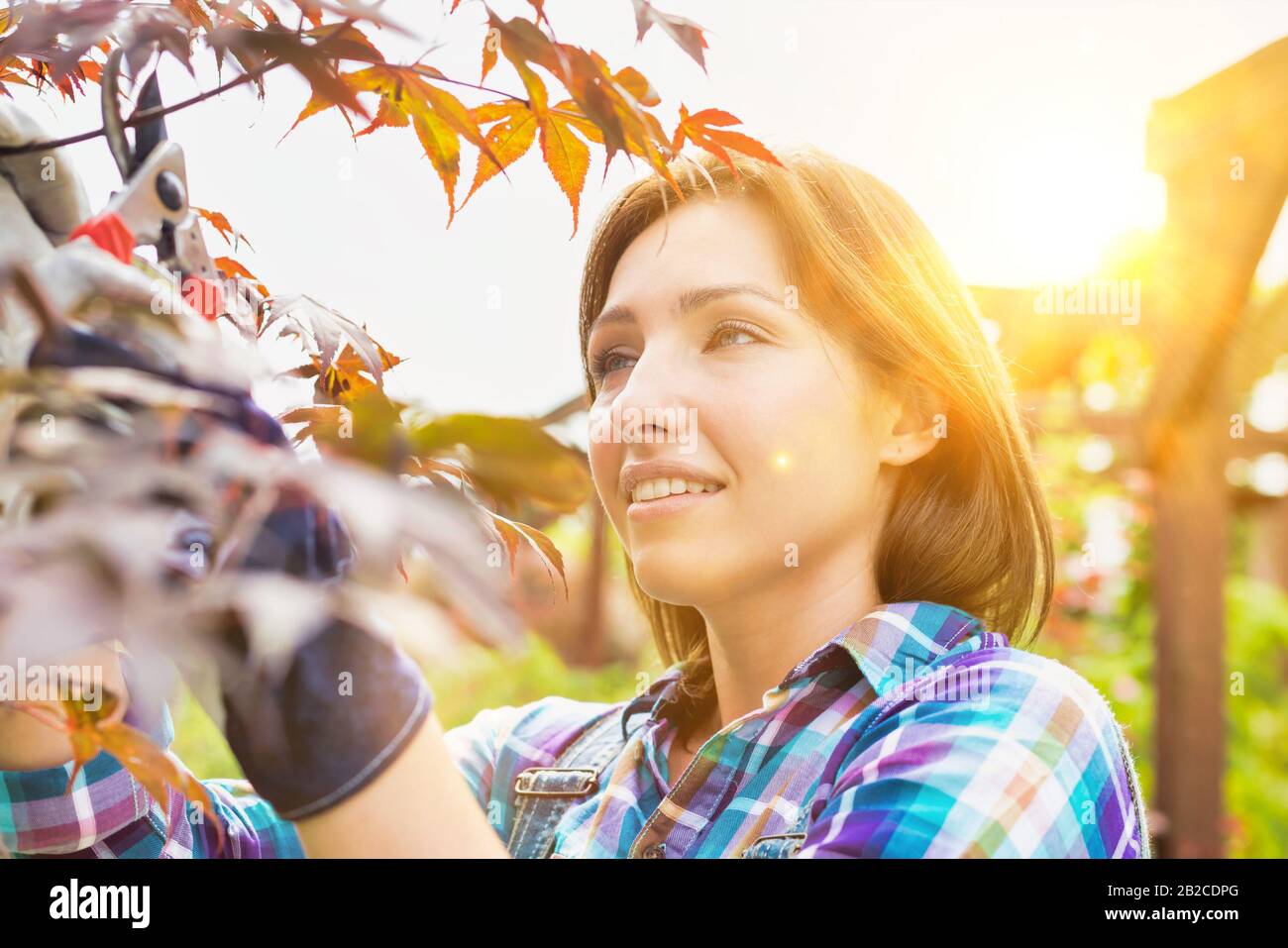 Women cutting branches hi-res stock photography and images - Alamy