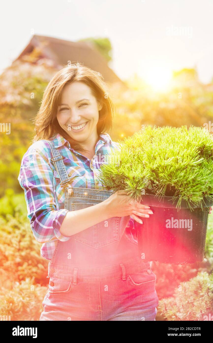 Portrait of mature beautiful gardener carrying plant on pot Stock Photo ...