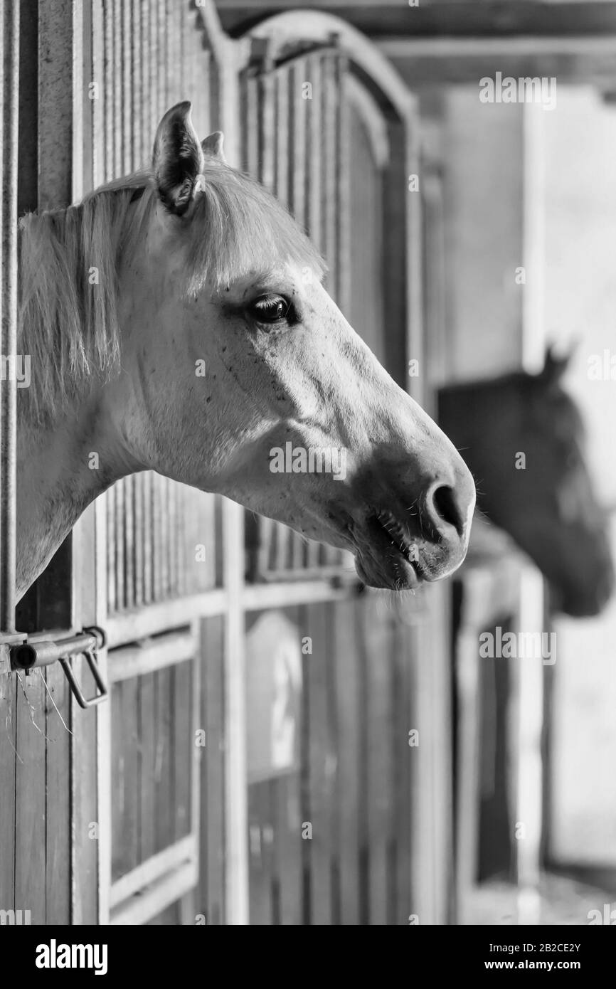 Box bay Black and White Stock Photos & Images - Alamy
