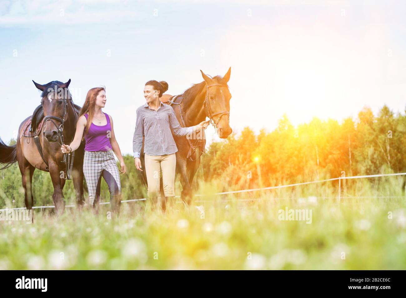 Portrait of women walking while talking with their horses in ranch ...