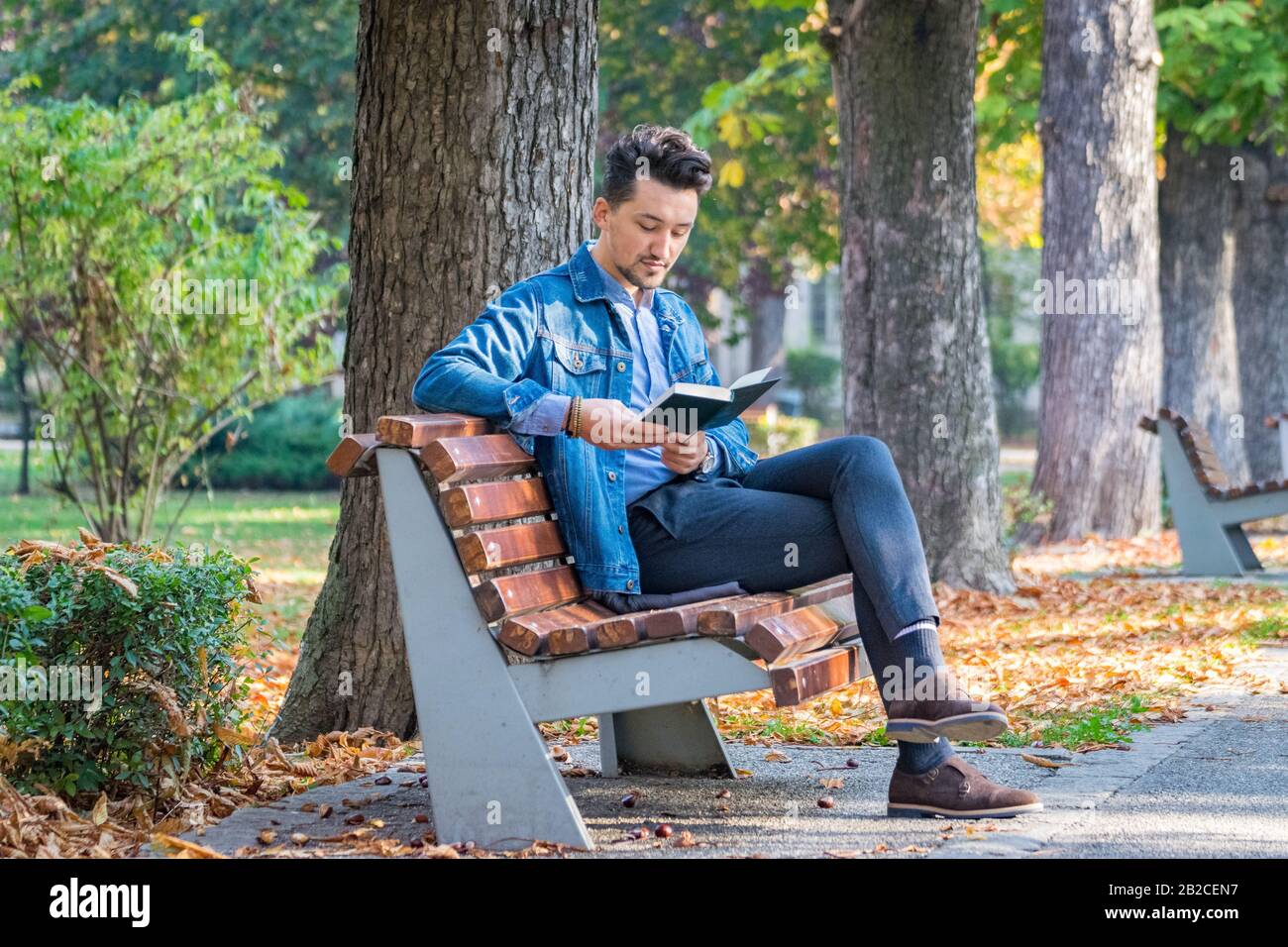 Handsome young man reading a book in a park. Portrait of a young man ...