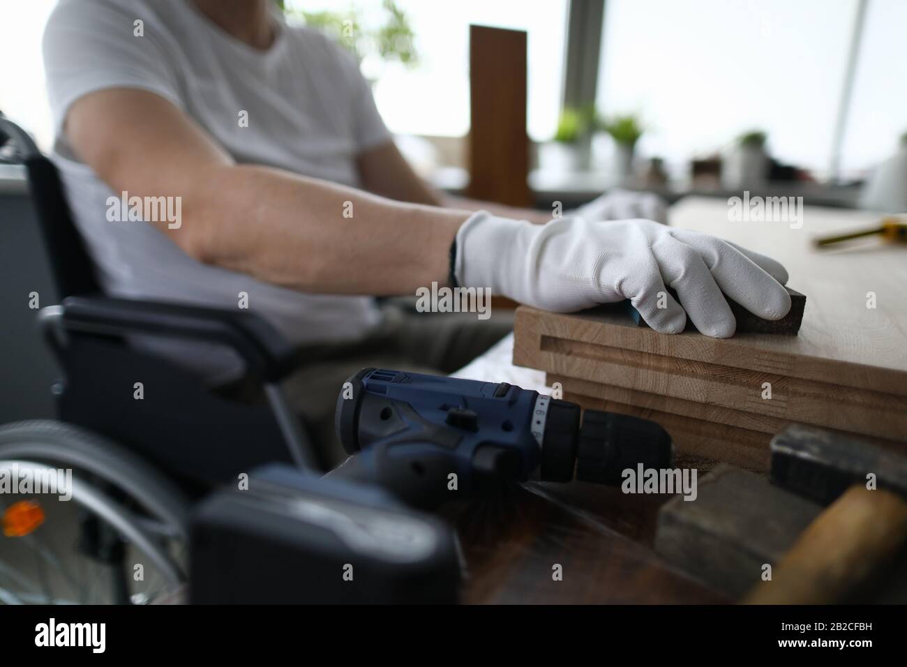 Male carpenter sits wheelchair and protects tree Stock Photo - Alamy