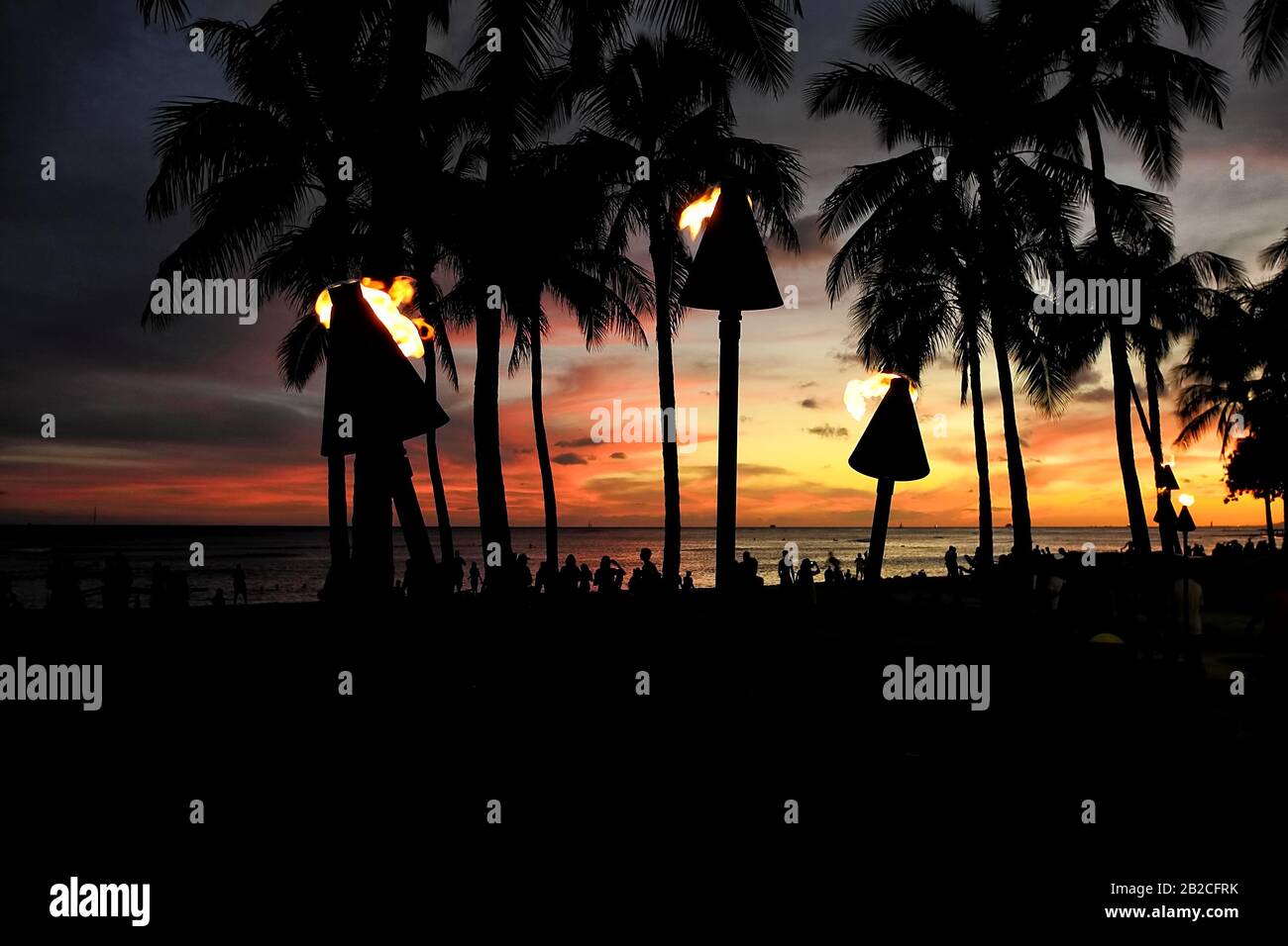 Hawaii torches palm trees hi-res stock photography and images - Alamy