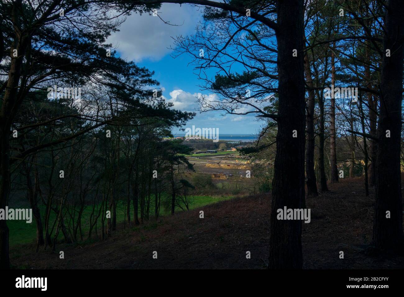 Beacon Hill, Roman Camp Stock Photo - Alamy