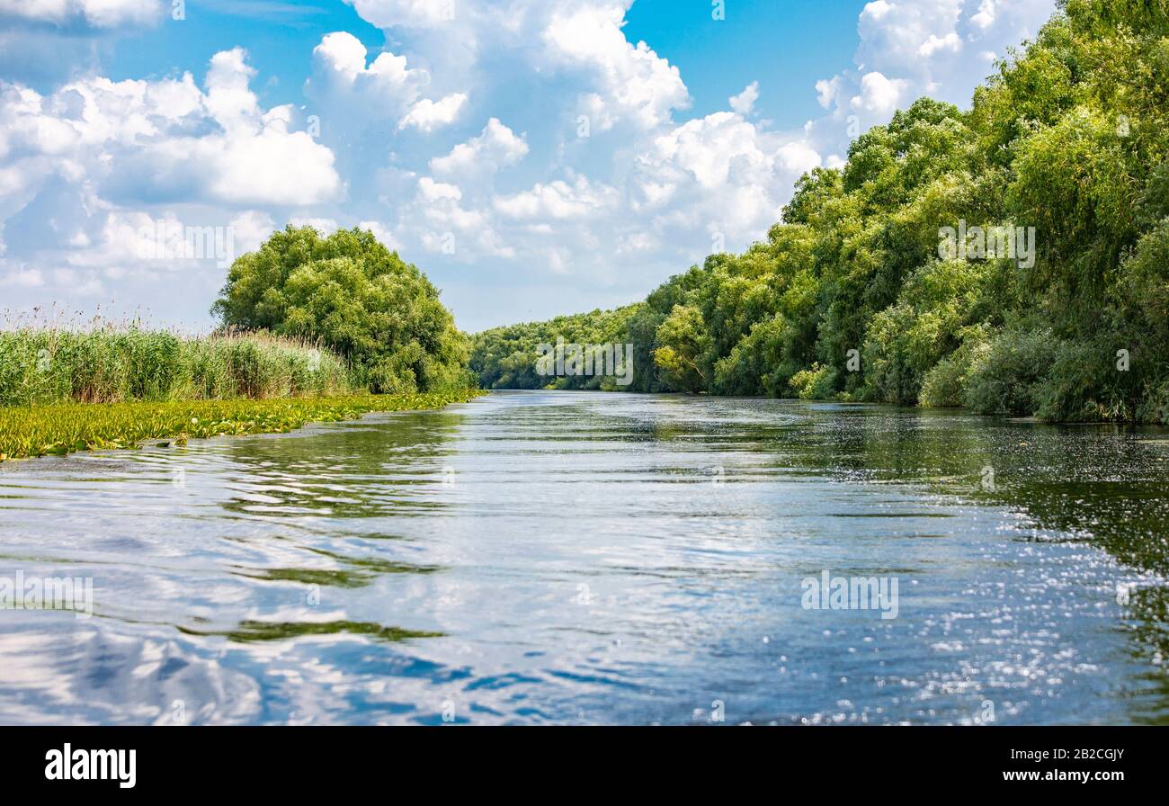 Wild birds paradise - River Danube in Romania - Delta, nature pure in a ...