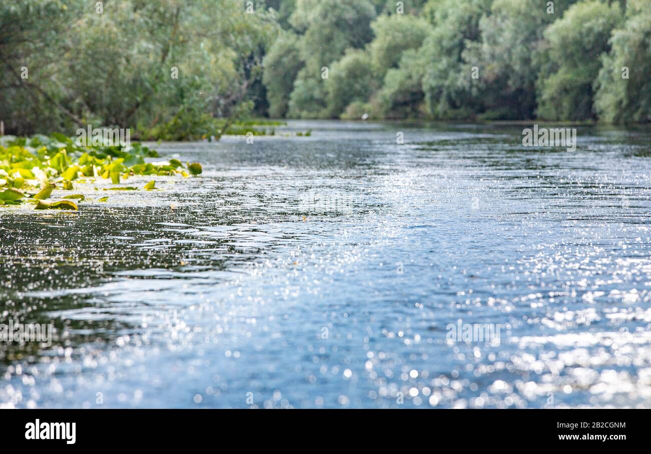 Wild birds paradise - River Danube in Romania - Delta, nature pure in a ...