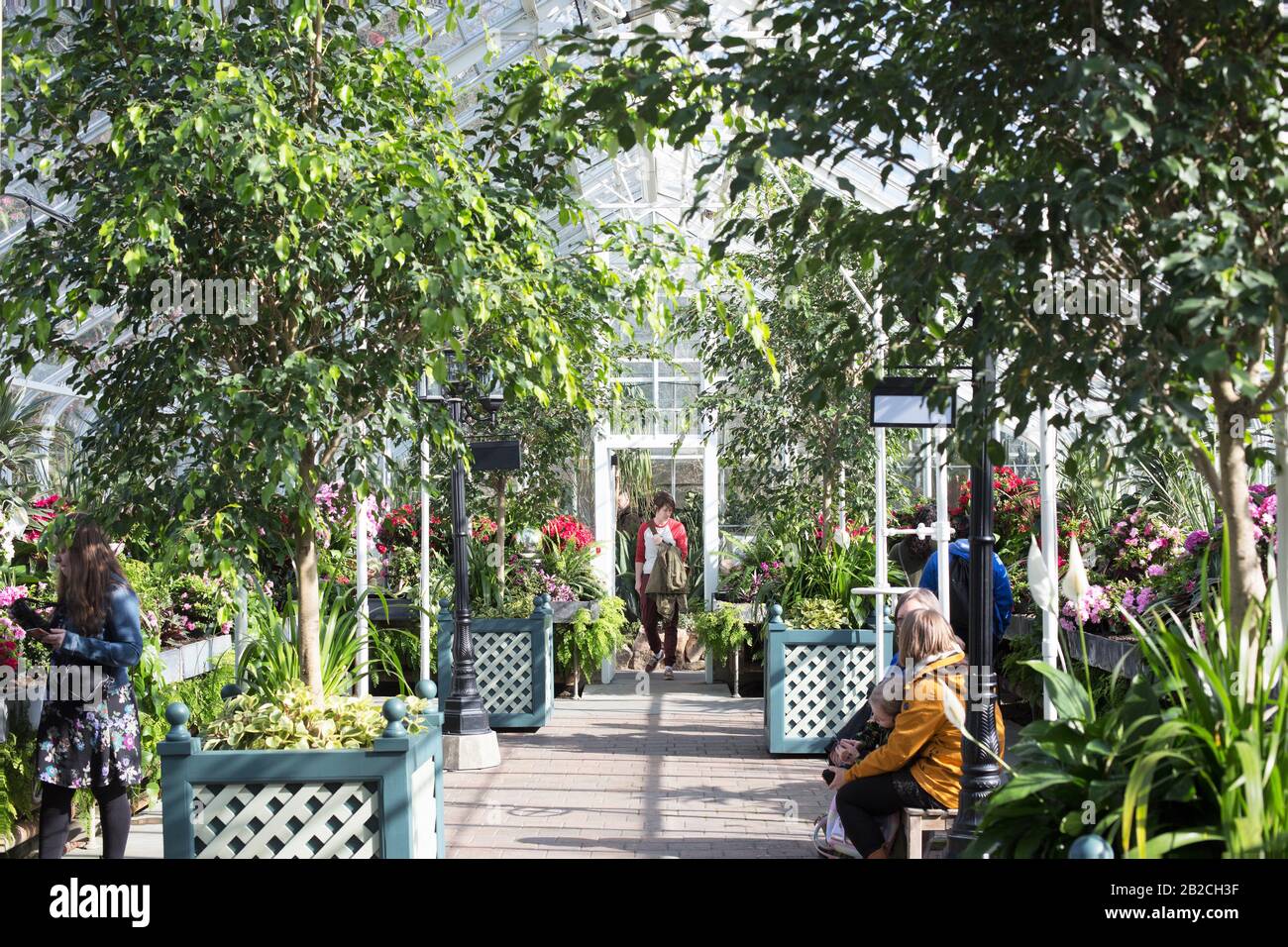 Volunteer park conservatory hi-res stock photography and images - Alamy