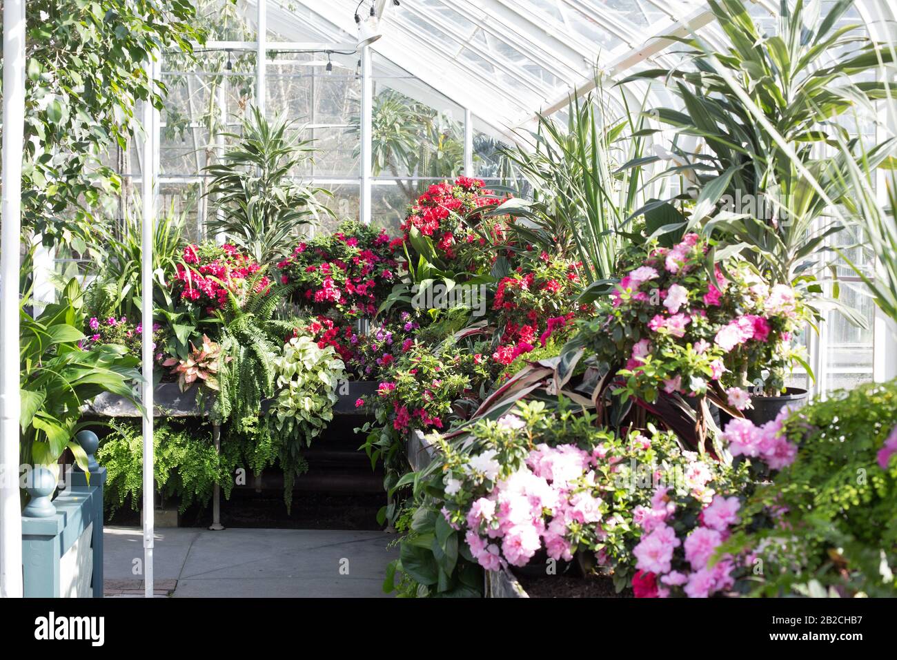 Volunteer park hi-res stock photography and images - Alamy
