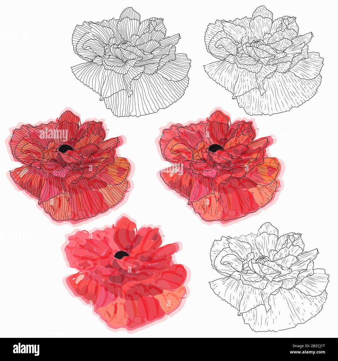 Pen and ink with watercolor wash Stock Vector Images - Alamy