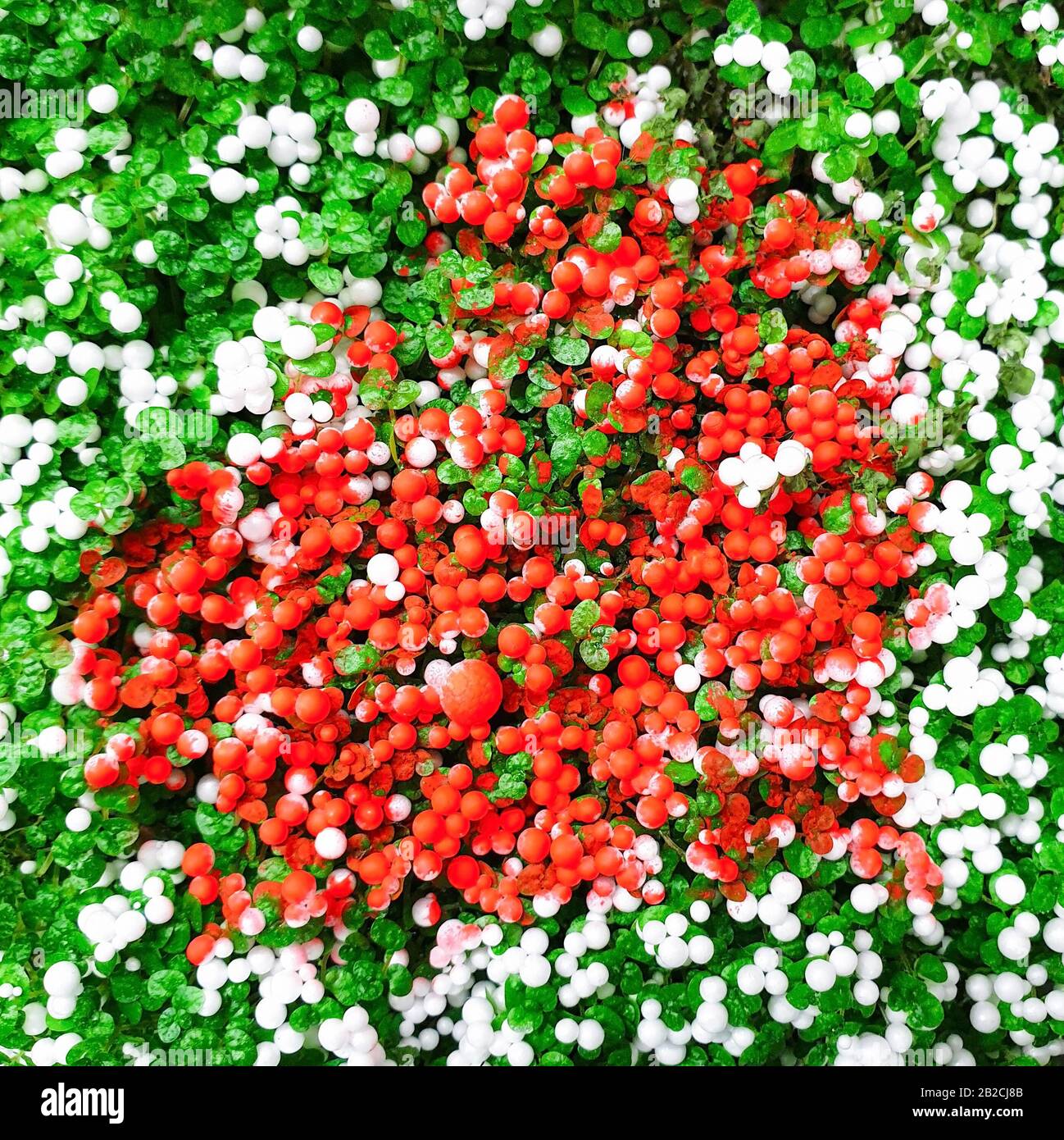 Heart shaped spring flowers bouquet Stock Photo - Alamy