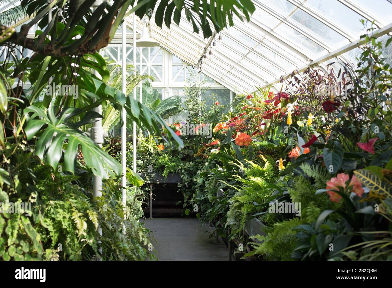 Volunteer Park Conservatory in Seattle, Washington, USA Stock Photo - Alamy