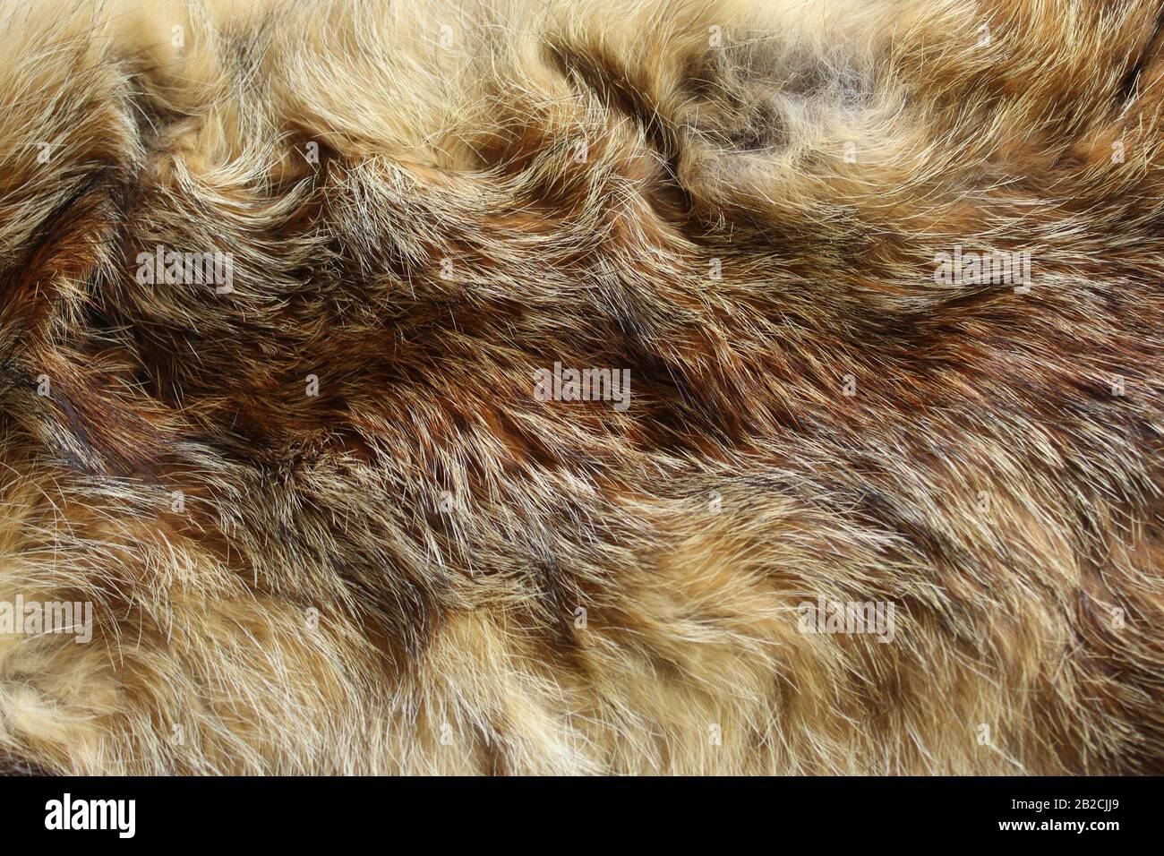 The picture shows a piece of a fox fur Stock Photo - Alamy