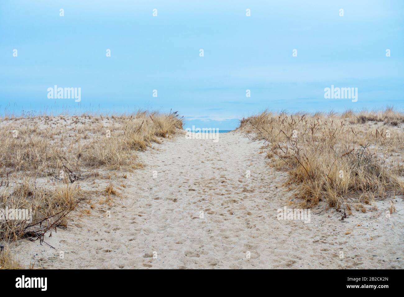 Path to beach through sand dunes and beach grass with ocean beyond ...