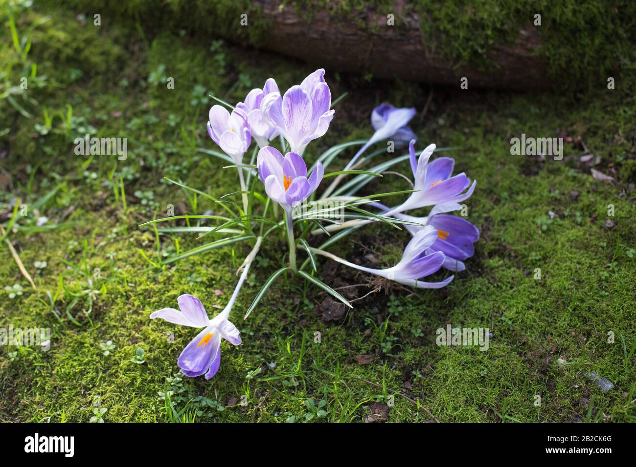 Washington gardening hi-res stock photography and images - Alamy