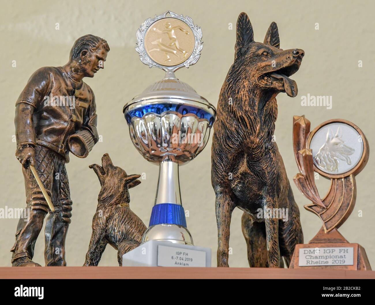 Animal Awards High Resolution Stock Photography and Images - Alamy