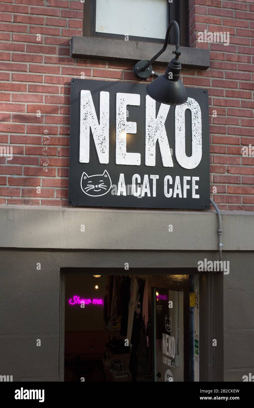 Neko cafe hi-res stock photography and images - Alamy