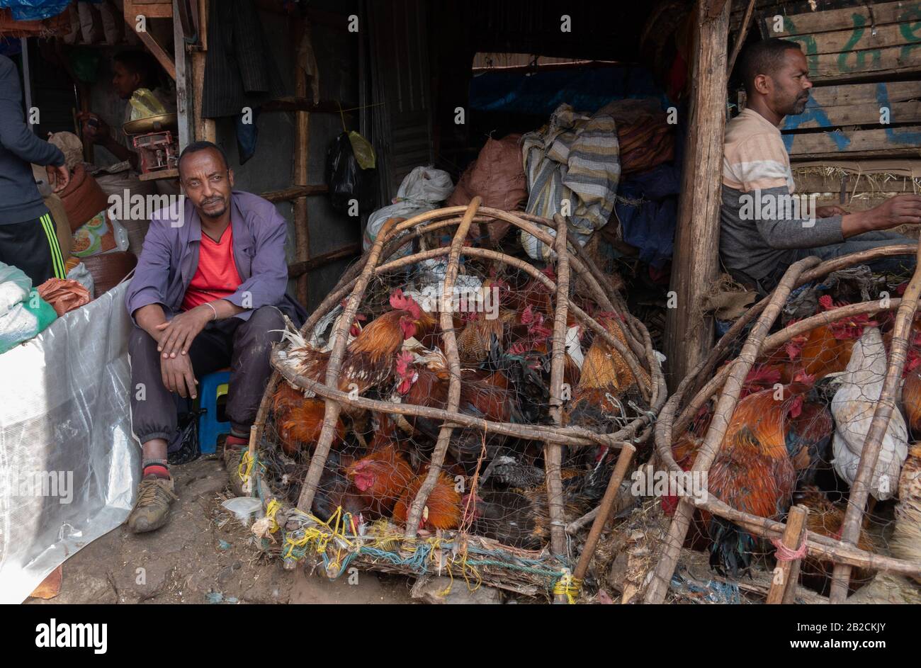 Chicken seller hi-res stock photography and images - Alamy