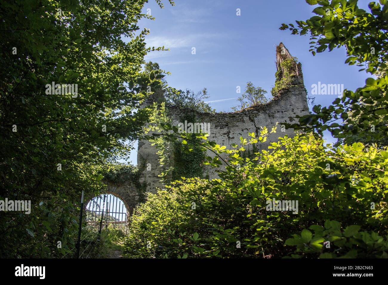 Old sayn castle hi-res stock photography and images - Alamy