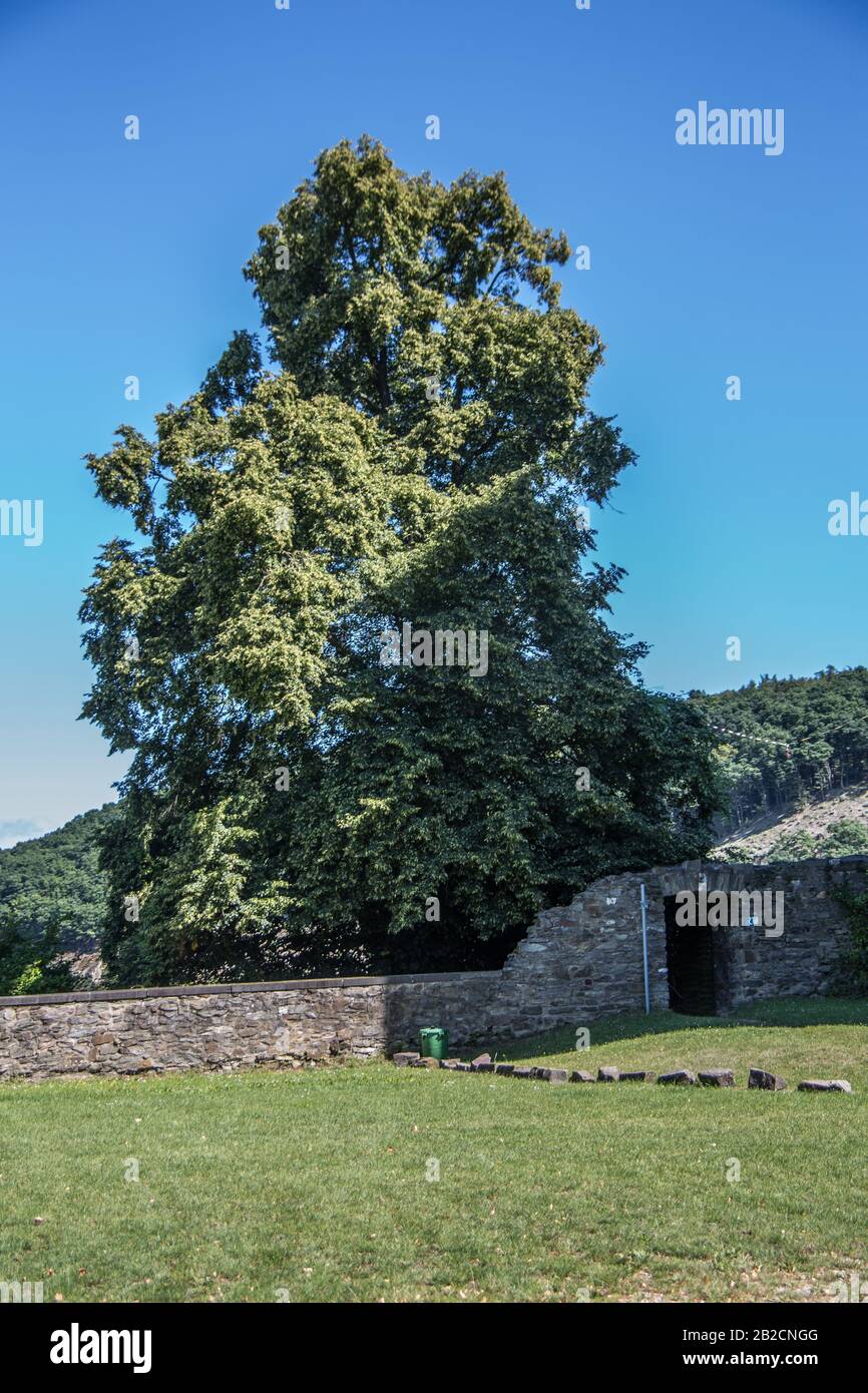 Old sayn castle hi-res stock photography and images - Alamy