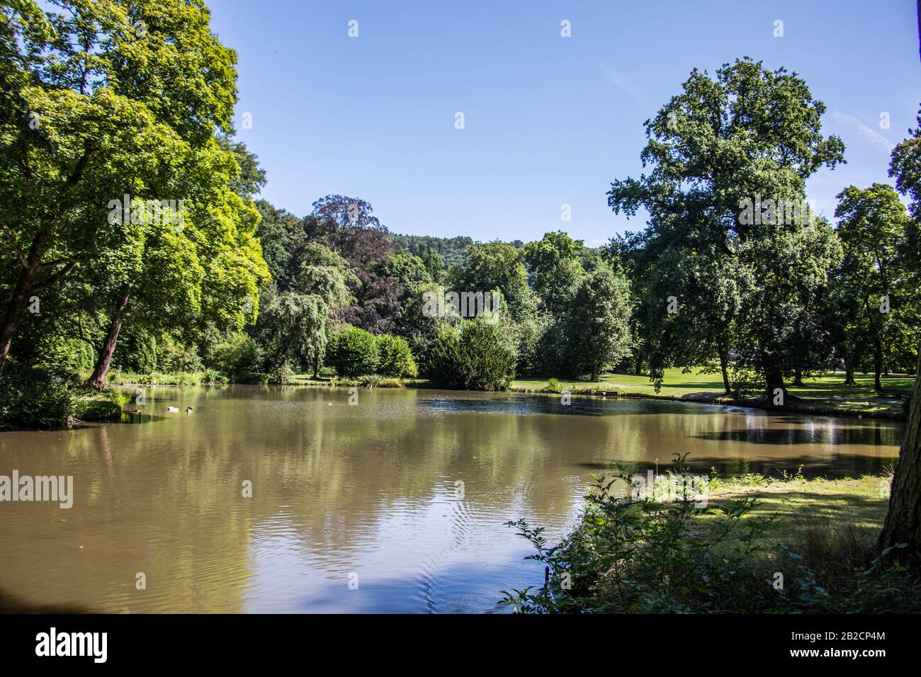 Pond in the Sayn Castle Park Stock Photo - Alamy
