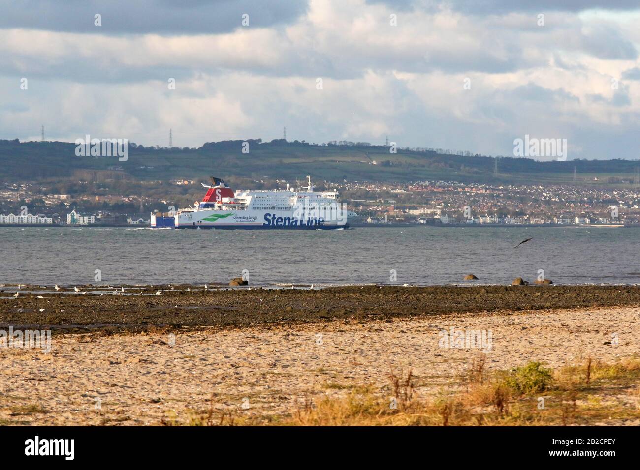 Stena line belfast hi-res stock photography and images - Alamy