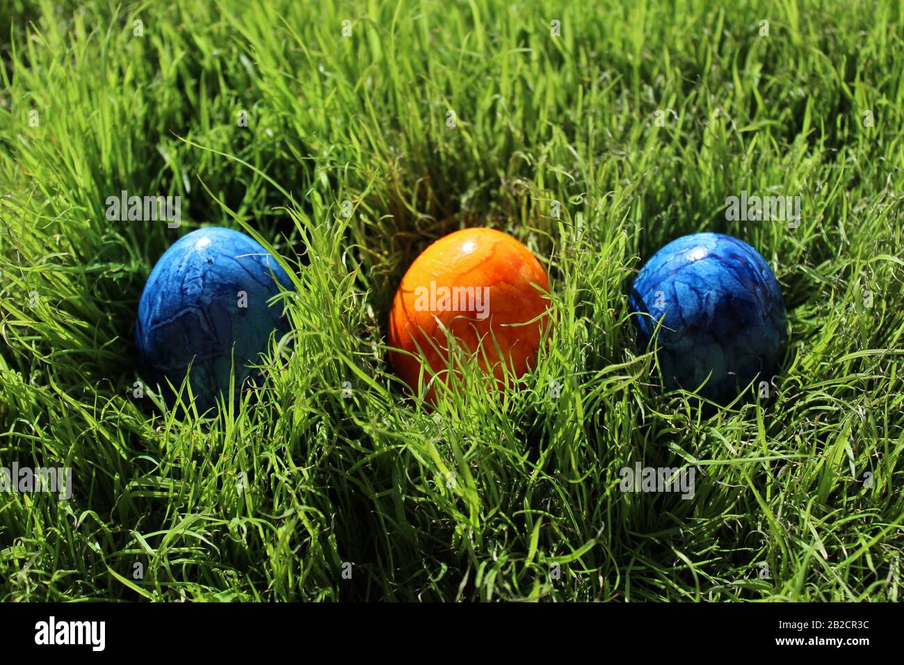 Eastergrass hi-res stock photography and images - Alamy