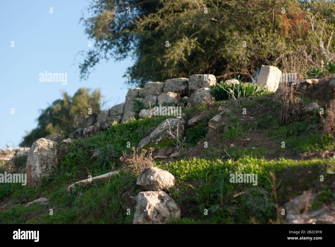 Travel for history stones and ruins in Israeli archaeological park ...
