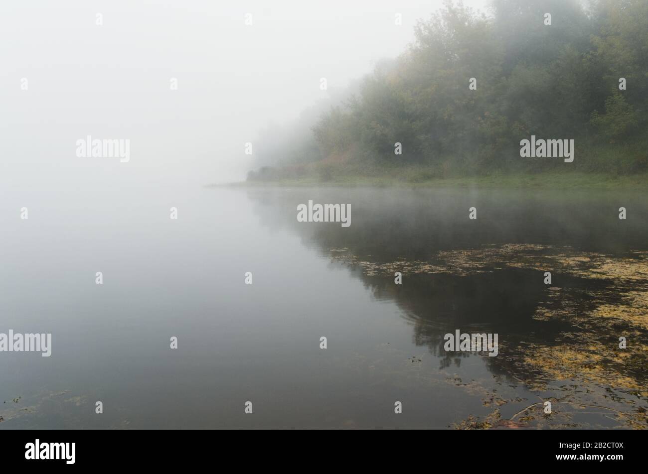 Dense cluster bunch hi-res stock photography and images - Alamy