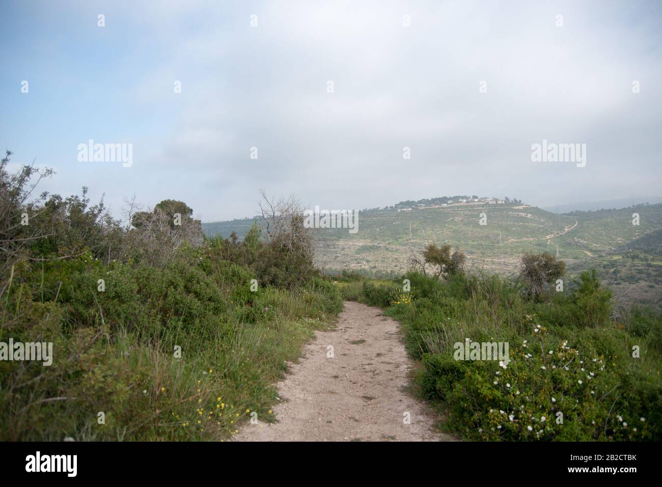 Hiking in Israeli nature landscape with good weather under cloudy sky ...