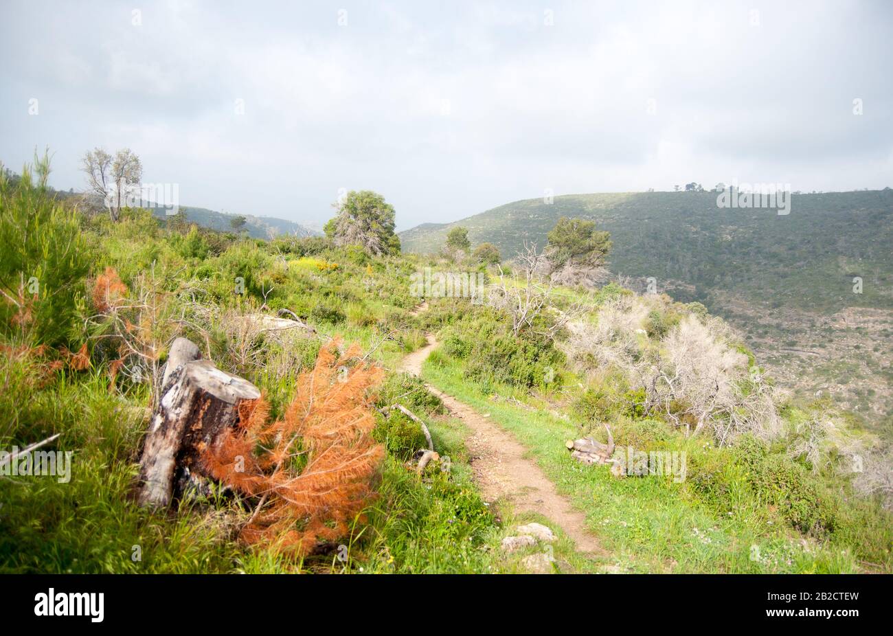 Hiking in Israeli nature landscape with good weather under cloudy sky ...